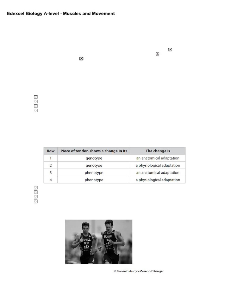 Muscles and Movement | PDF