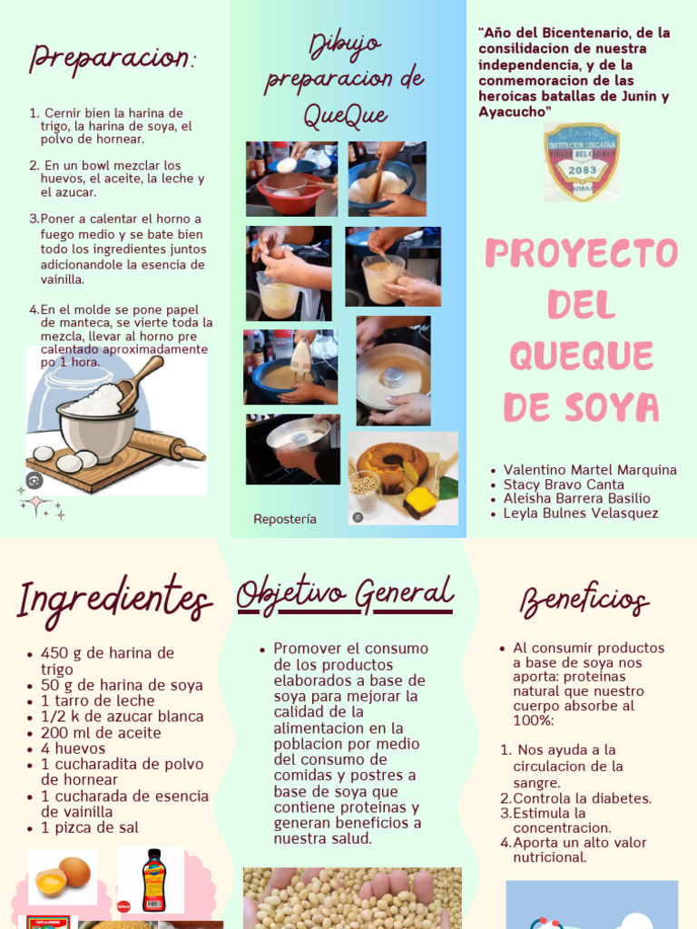 Triptico Queque de Soya | PDF