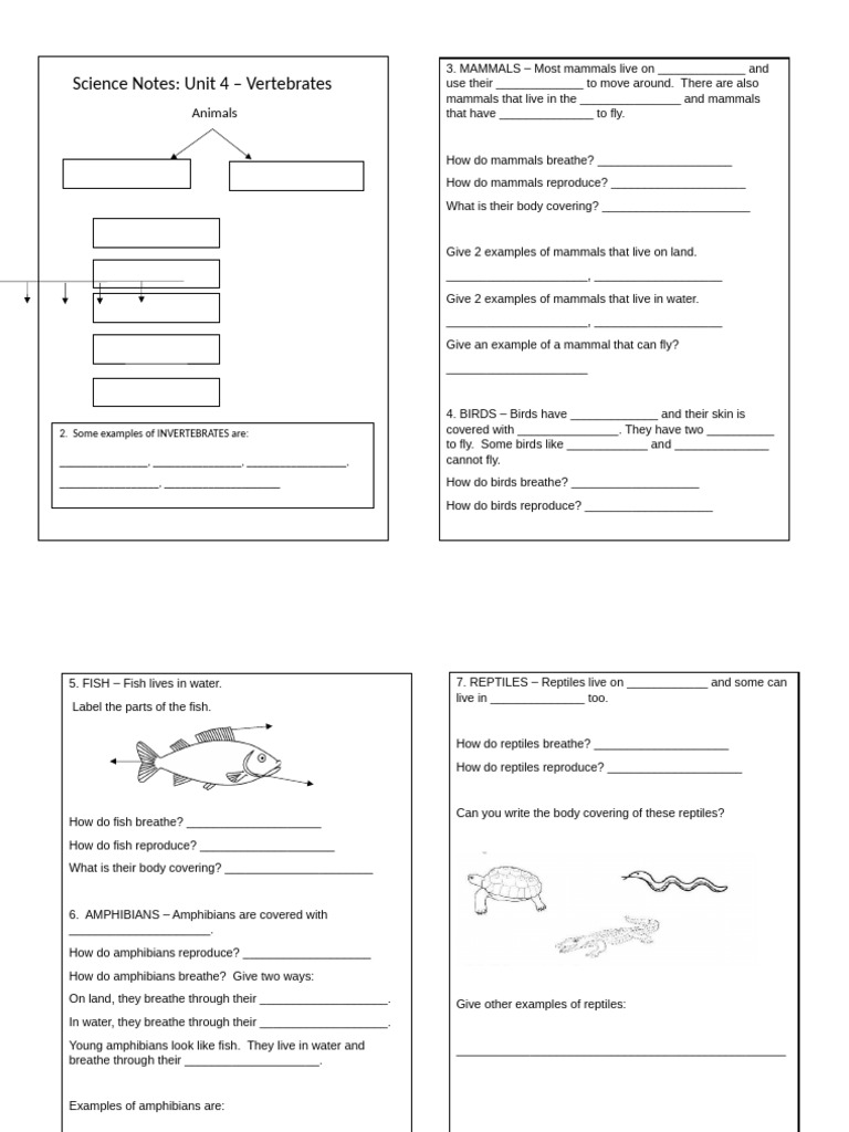 Science Notes Vertebrates | PDF