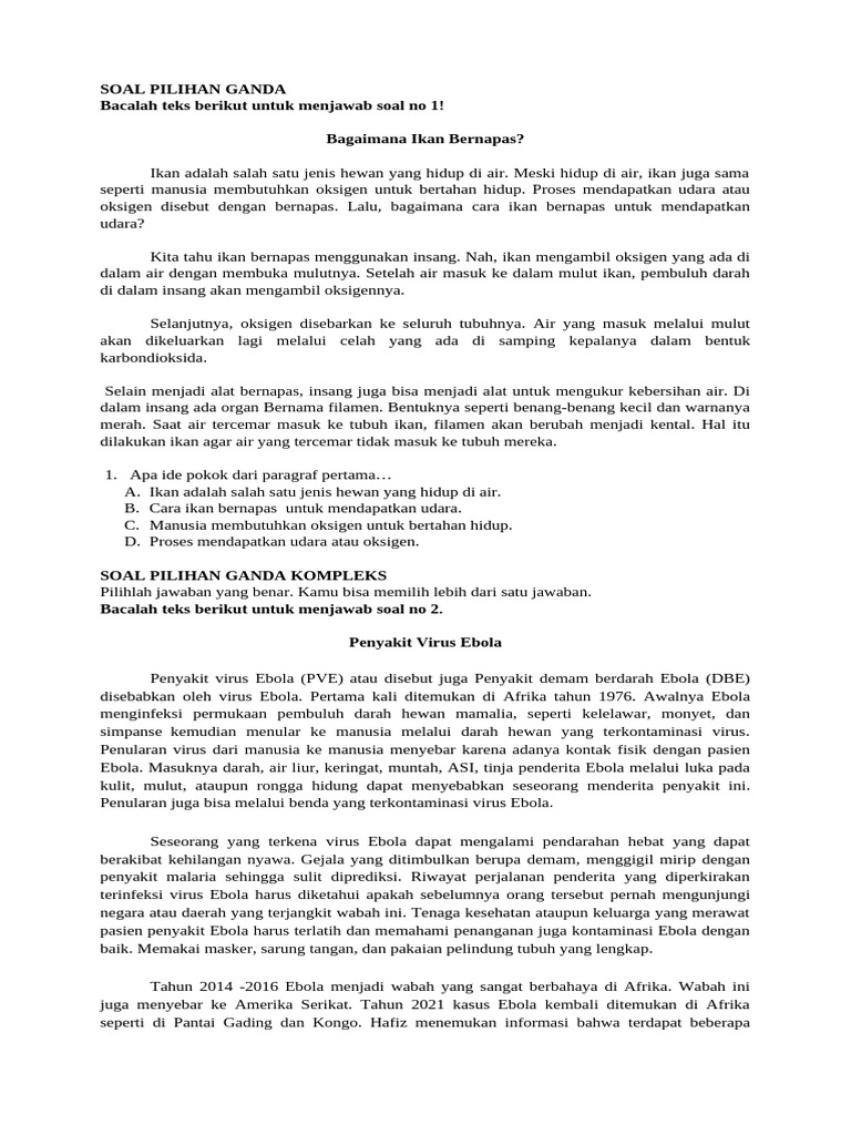 Soal Pts 1 Tems 2 | PDF