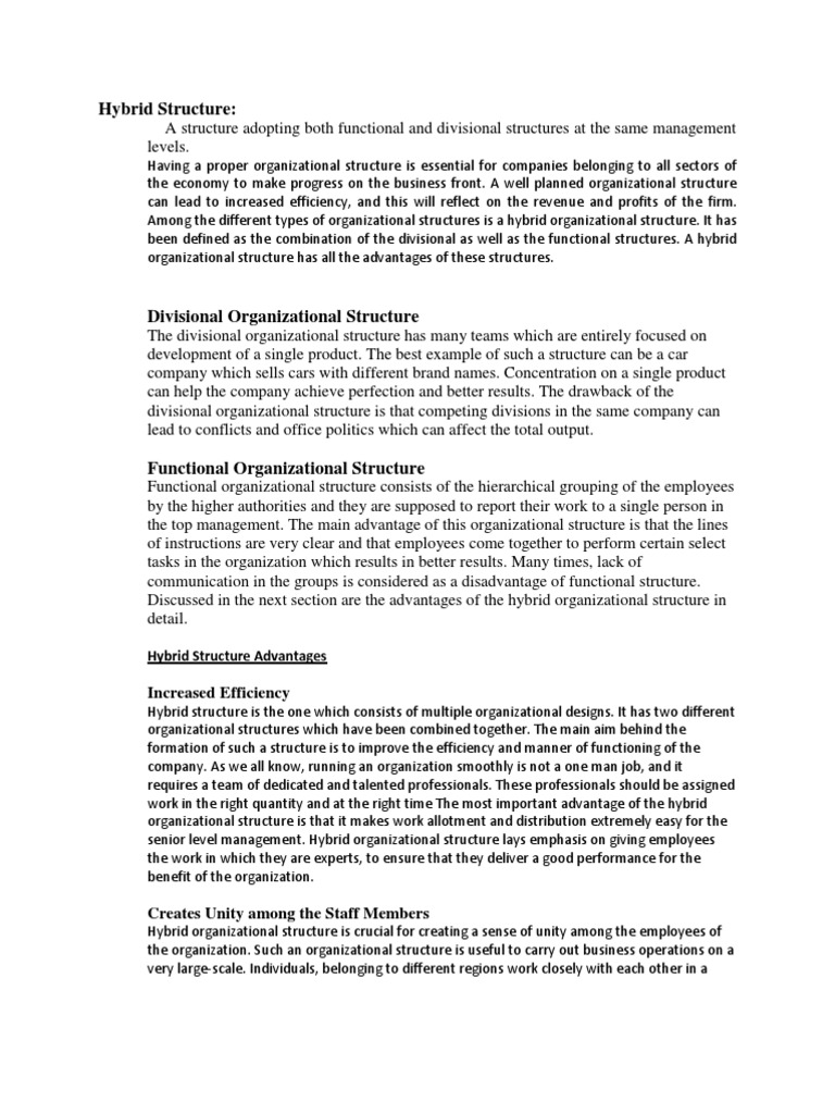 Hybrid Structure | PDF | Organizational Structure | Business