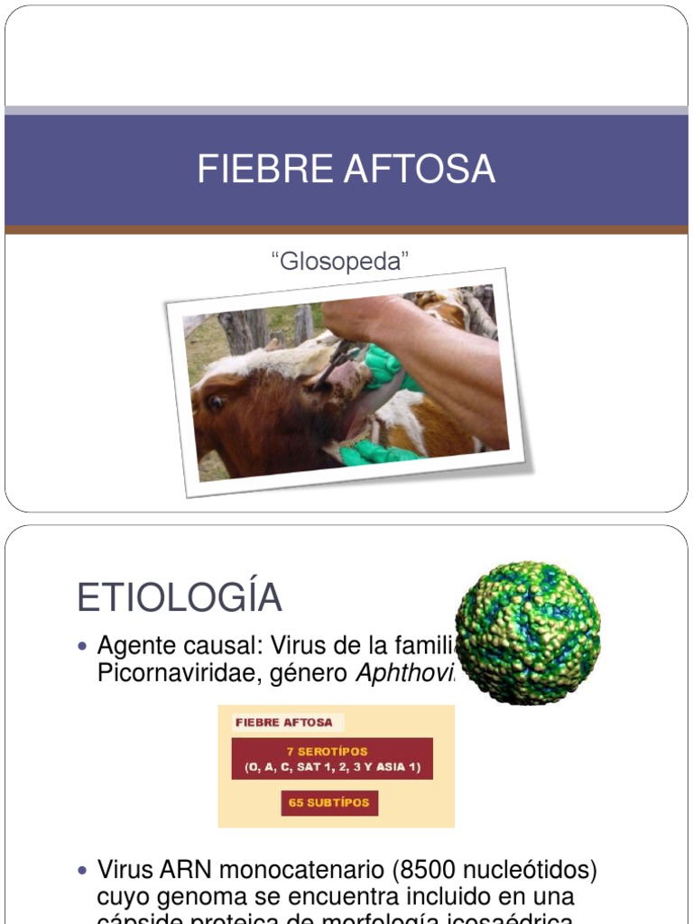 Fiebre Aftosa | PDF | Virus | Inmunología