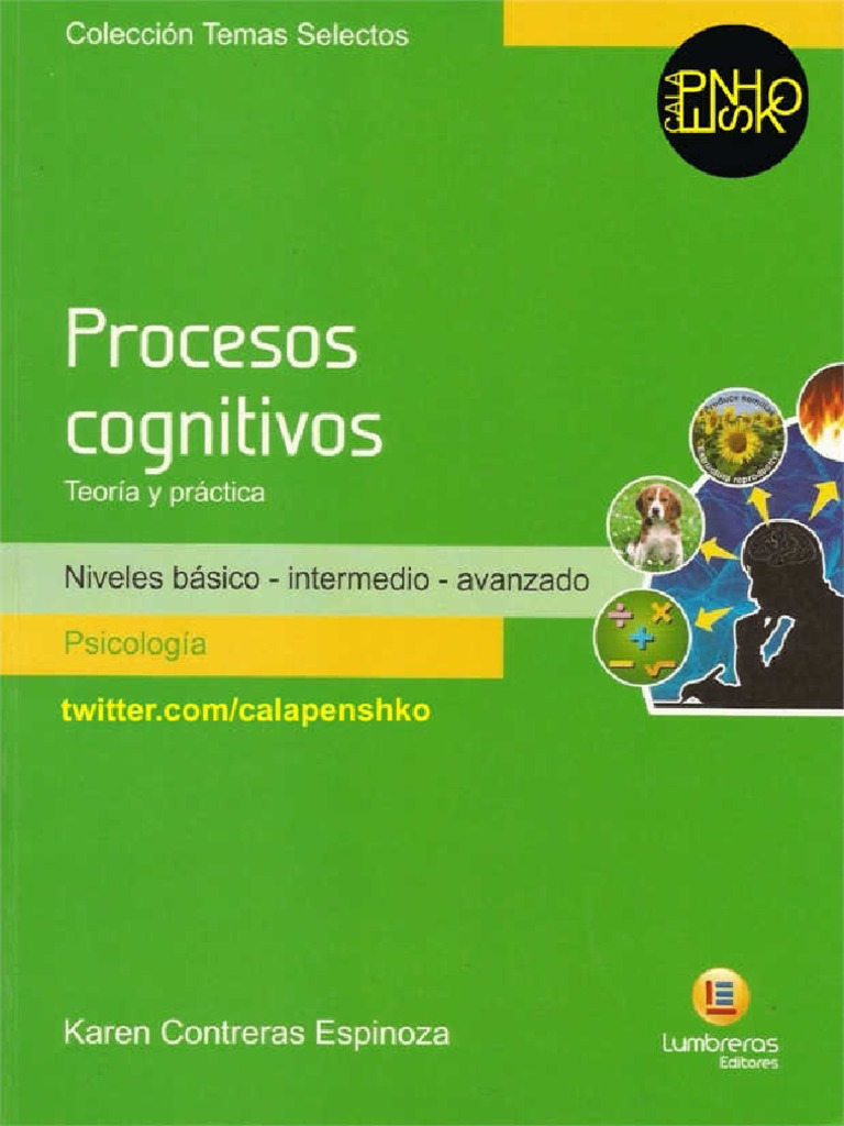 Psicologia - Procesos Cognitivos | PDF