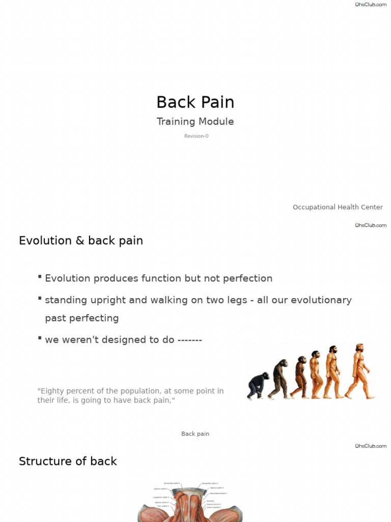 An Overview of Back Pain | PDF | Back Pain | Musculoskeletal Disorders