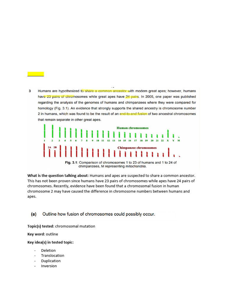 P3 Revision Practice | PDF
