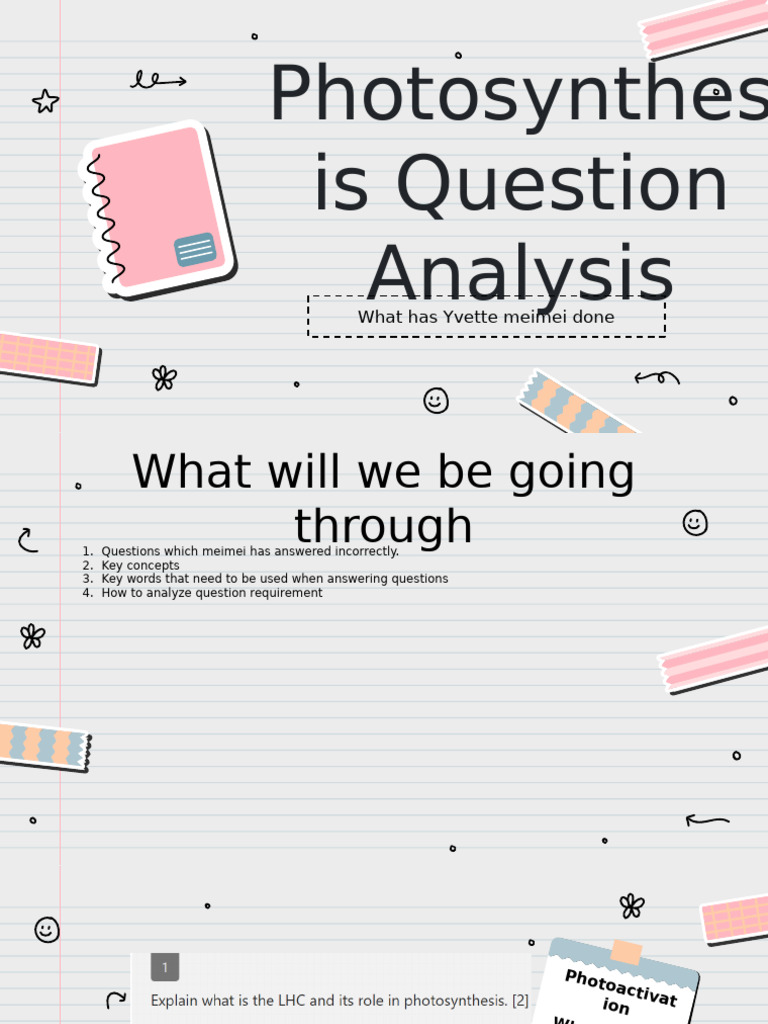 Photosynthesis Practice Questions | PDF