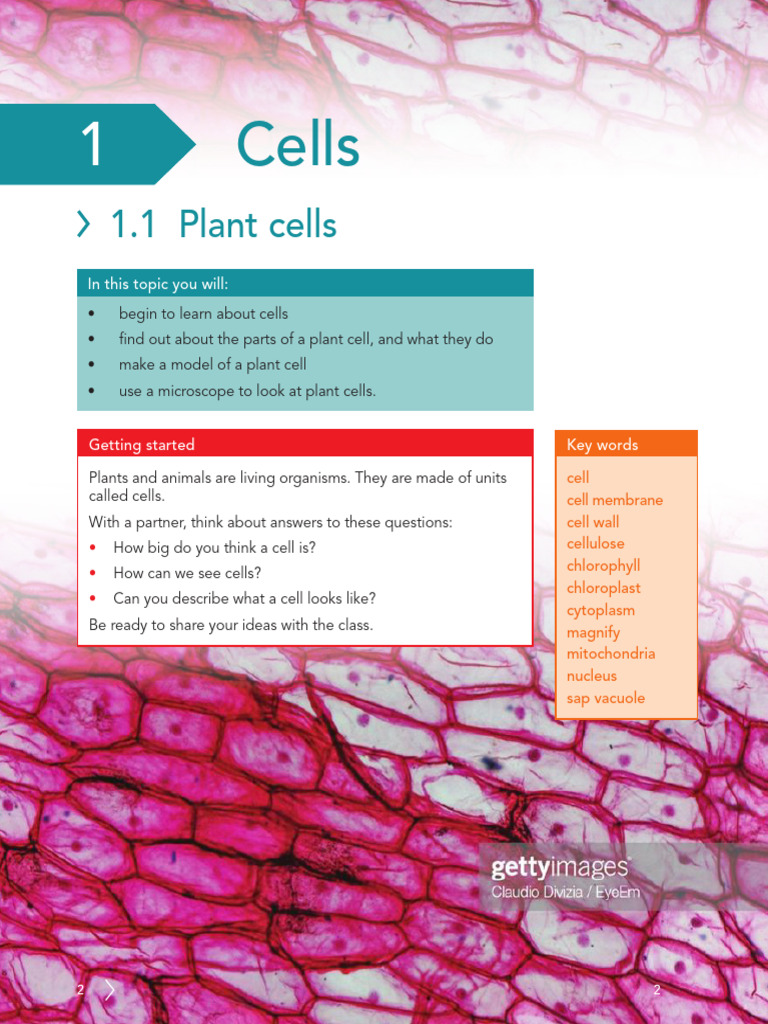 Learners' Book 7 - Unit 1 - Cells | PDF