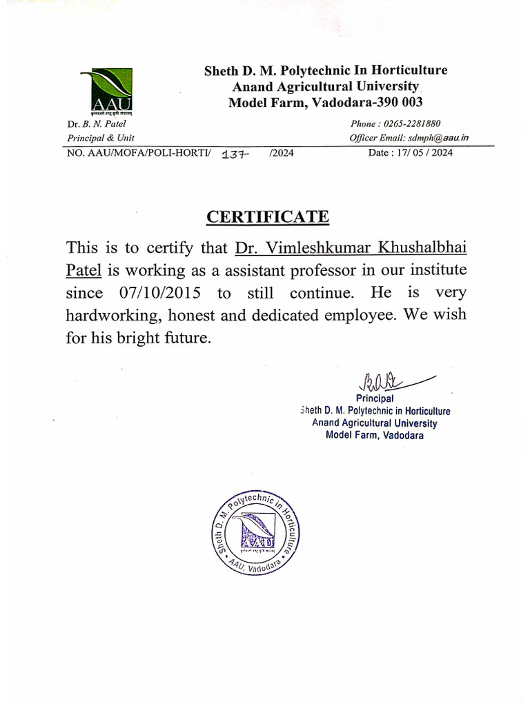 Vimlesh Work Experience | PDF