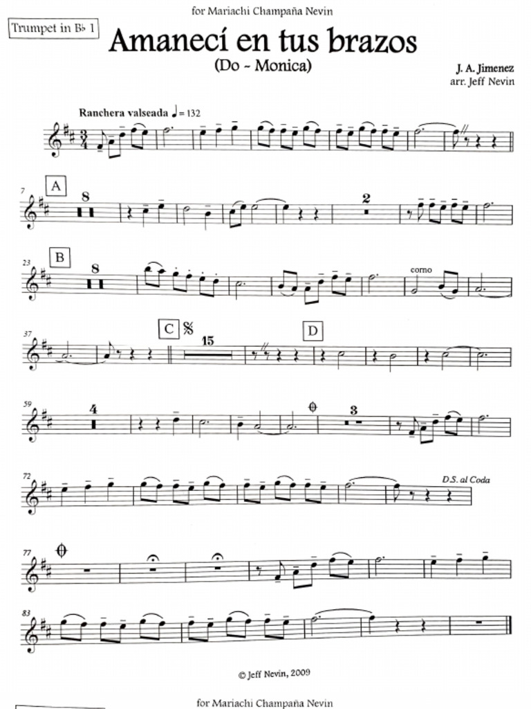 Amaneci en Tus Brazos | PDF