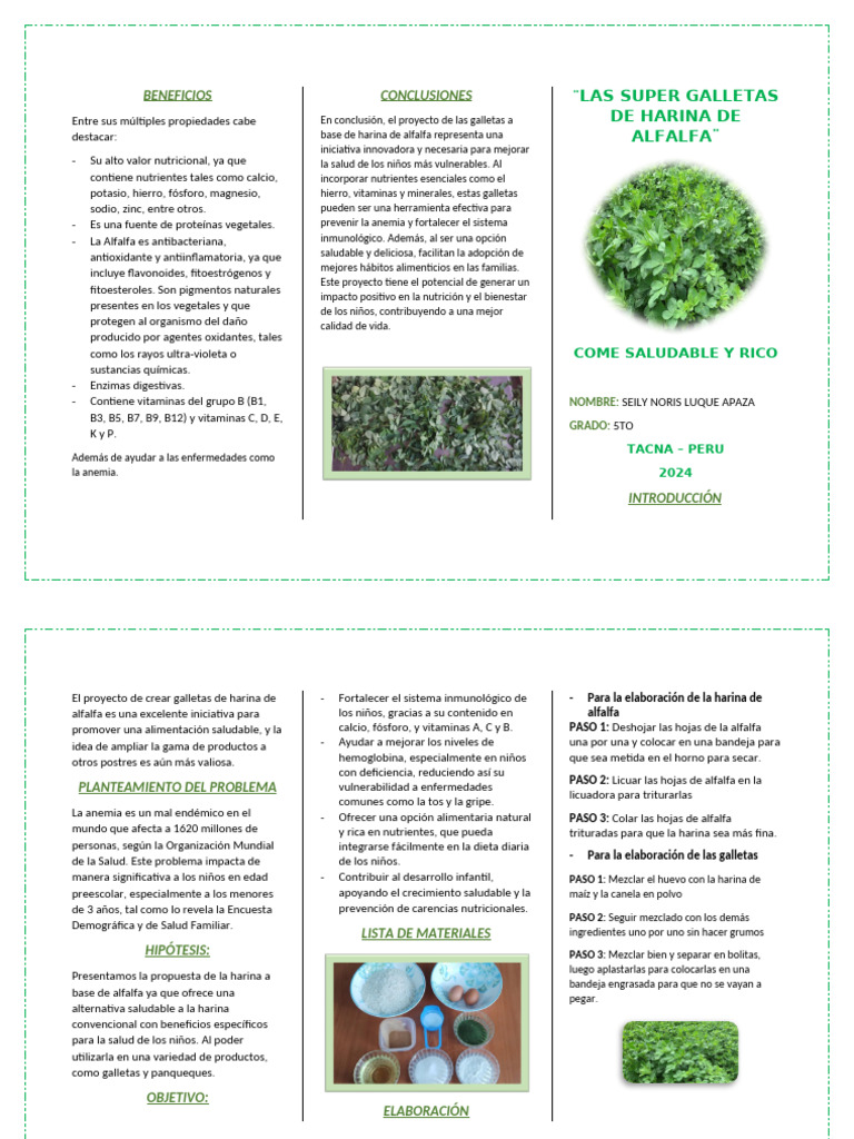 Modelo de Tríptico | PDF