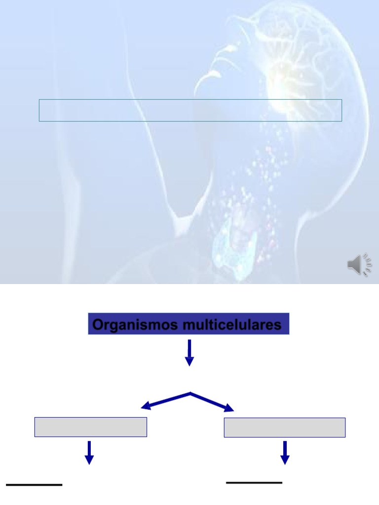 Endocrinología. Generalidades. 2020 TT | PDF