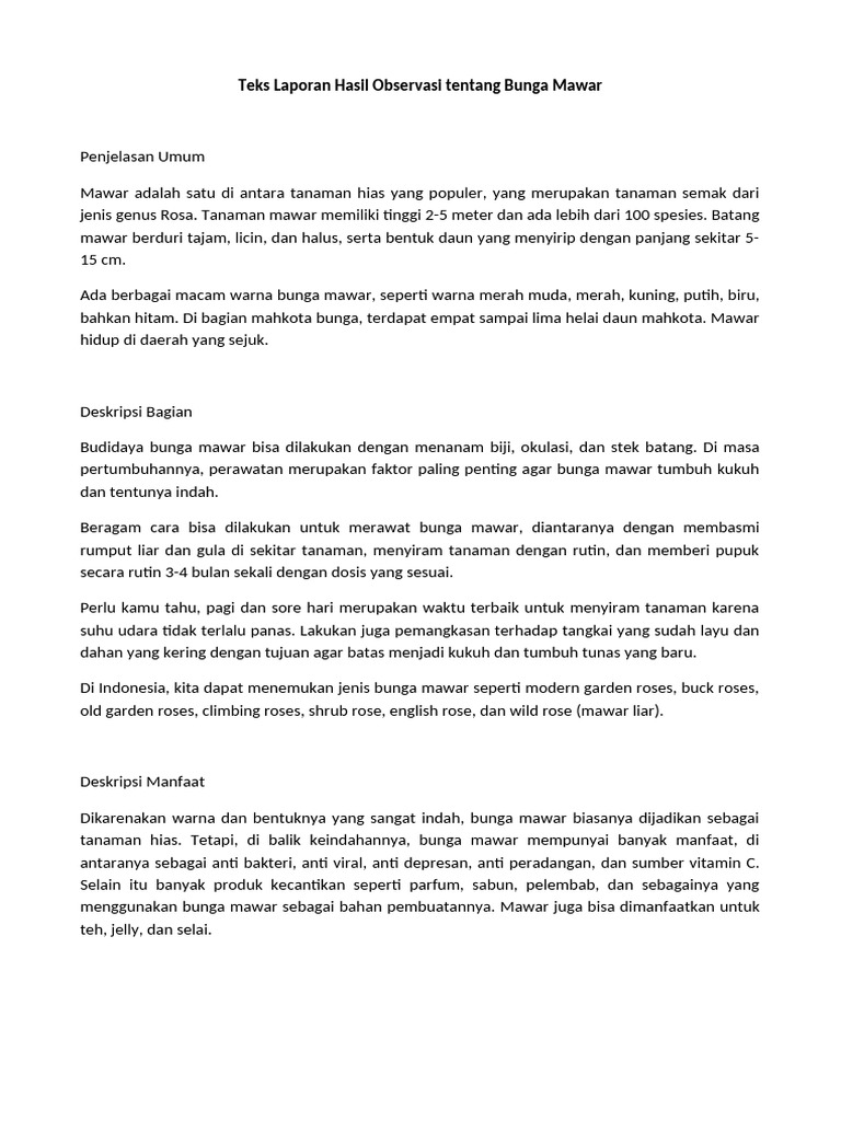 Teks Laporan Hasil Observasi Tentang Bunga Mawar | PDF