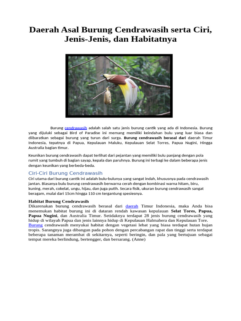 Daerah Asal Burung Cendrawasih Serta Ciri | PDF