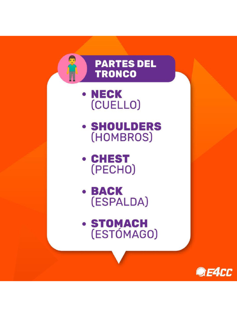 E4cc - SV 19 08 2024 0007 | PDF