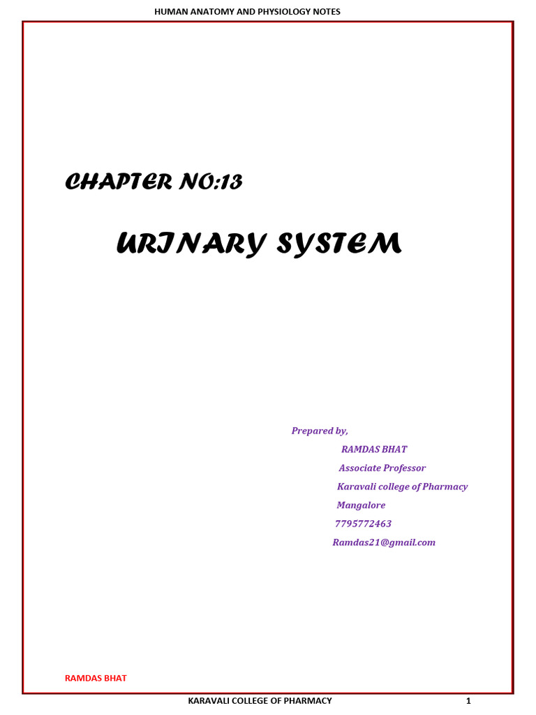 Urinarysystem 221204113549 6f5d1879 | PDF