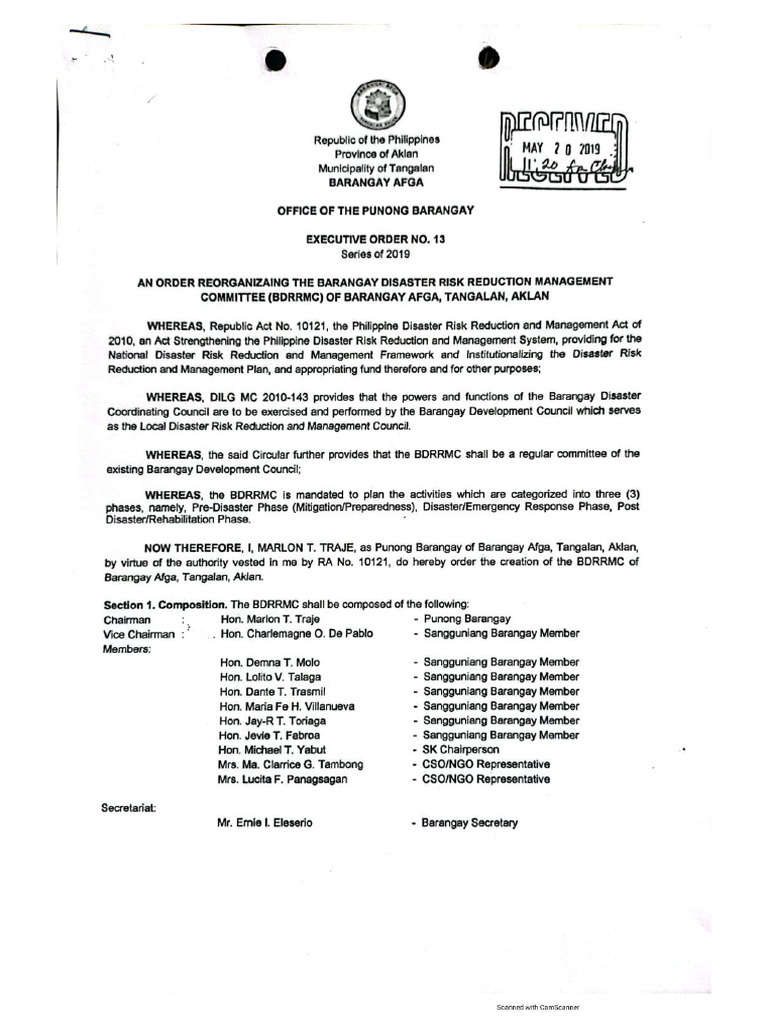 1 3 Reorganizing The Bdrrmc Pdf