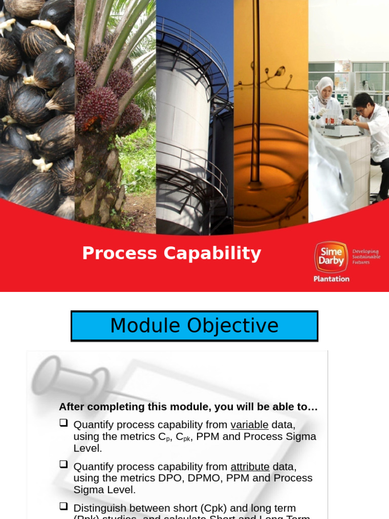 8.process Capability | PDF