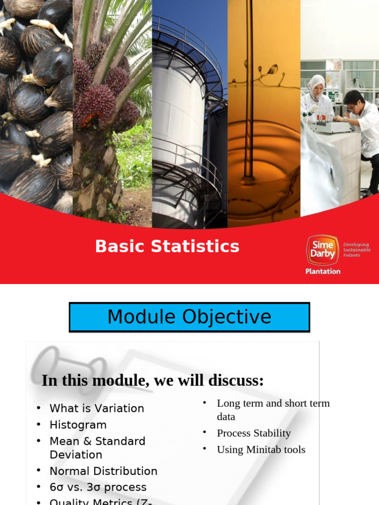 Basic Stats | PDF