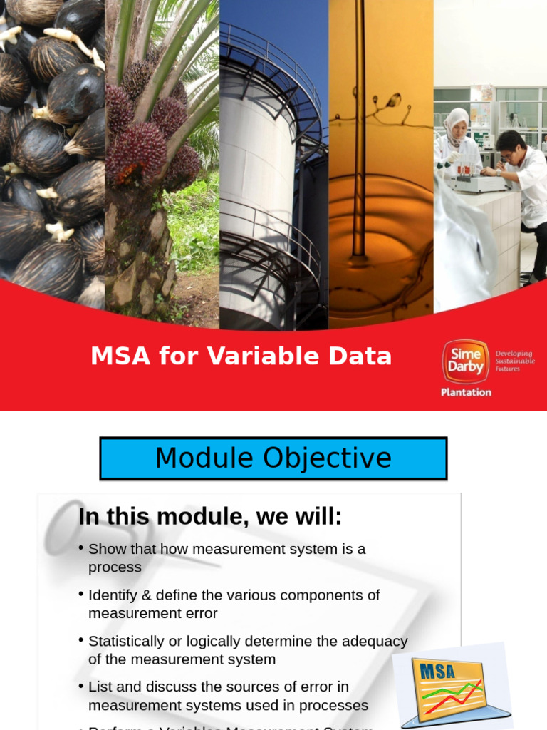 MSA Variable | PDF
