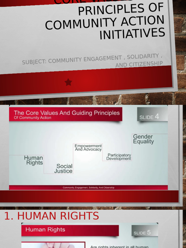 Core Values and Principles of Community Action Initiatives - 014512 | PDF
