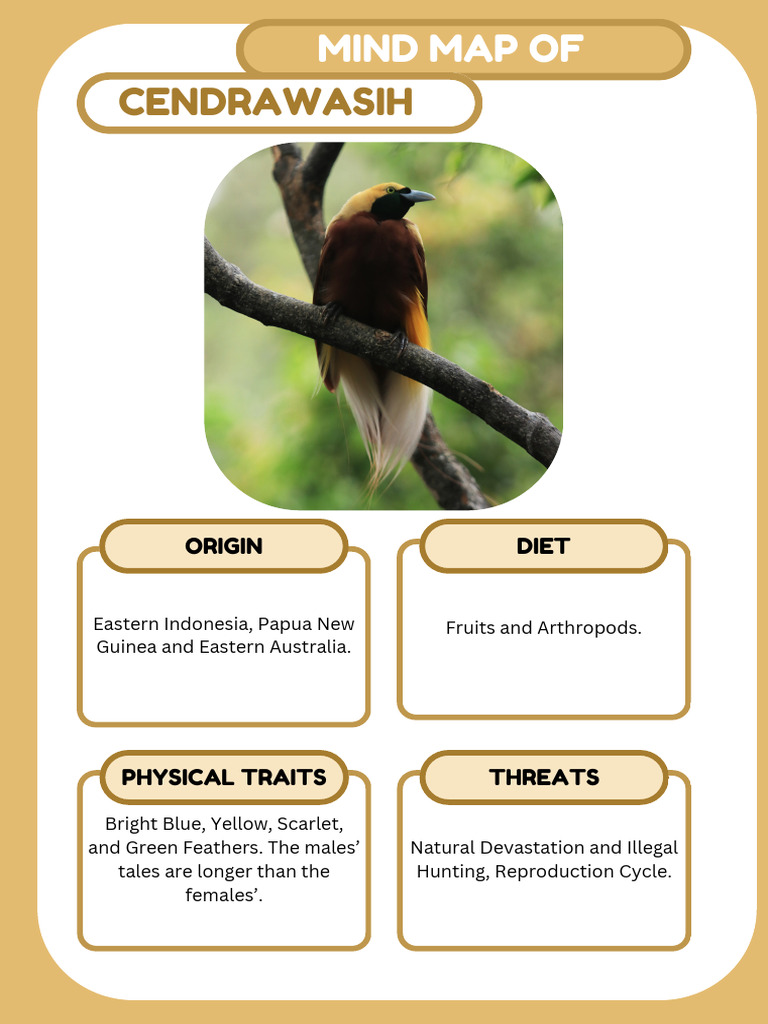 LKPD 2.1 MIND MAP OF CENDRAWASIH | PDF
