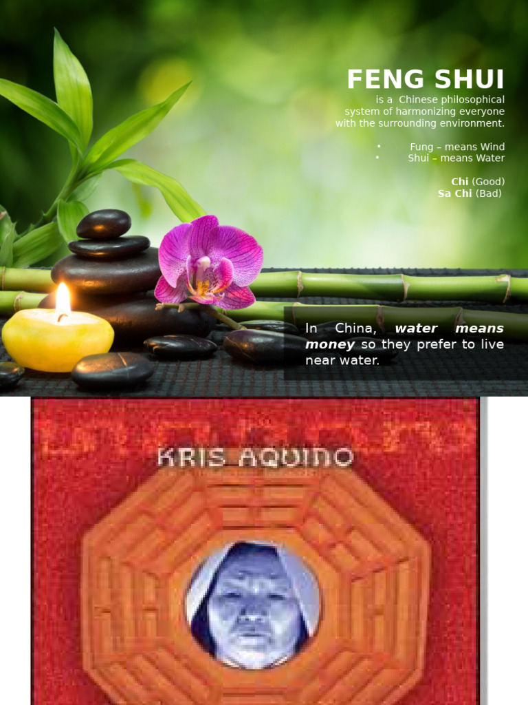 Architecture-in-China-Feng-Shui | PDF