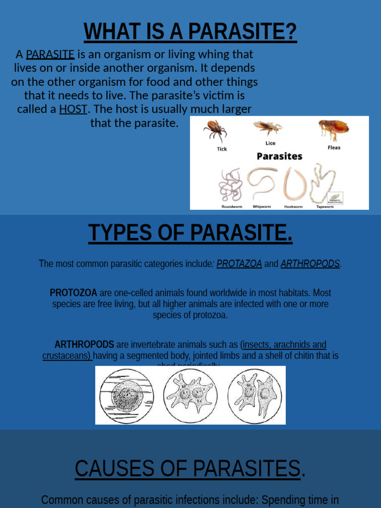 What is a Parasite | PDF