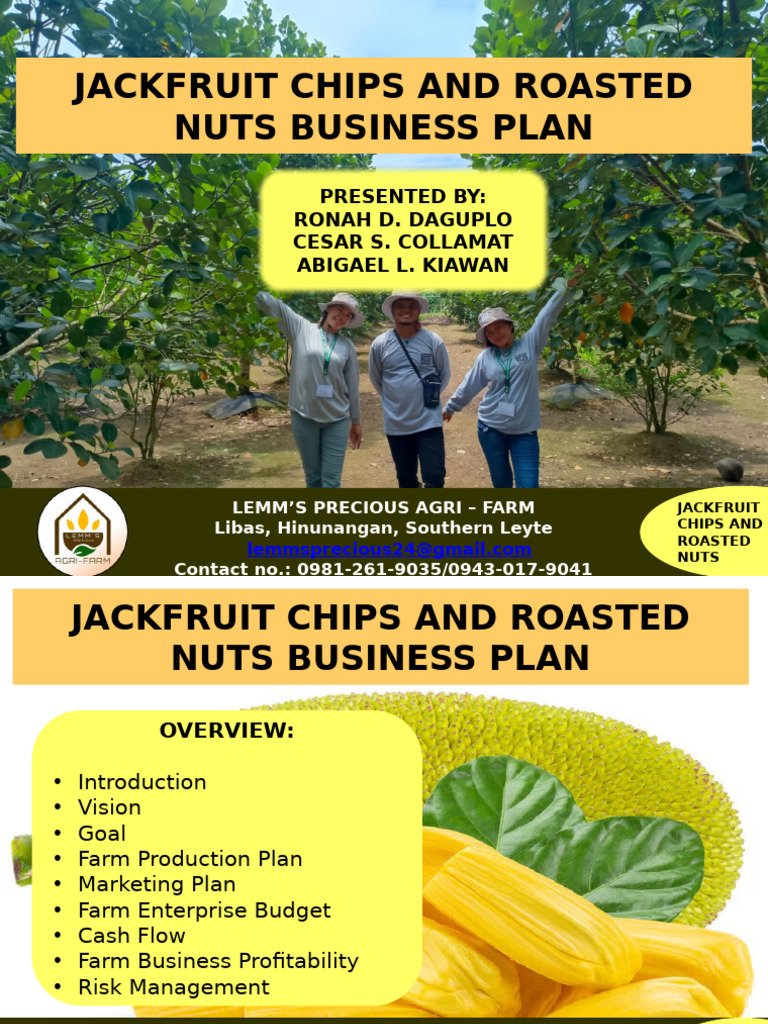 Business Plan Presentation | PDF