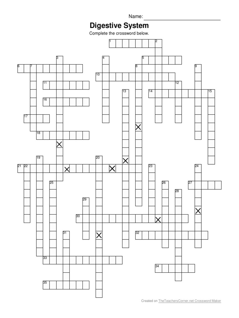 2022 Digestive System Crossword With Crosses | PDF