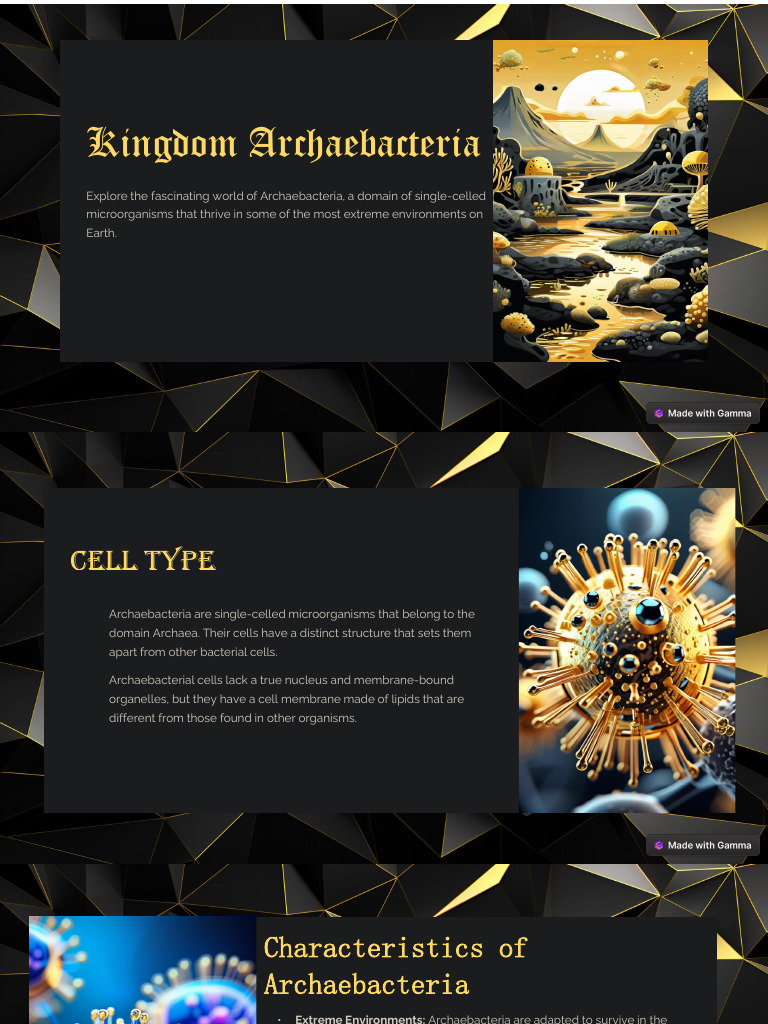 Kingdom Archaebacteria | PDF