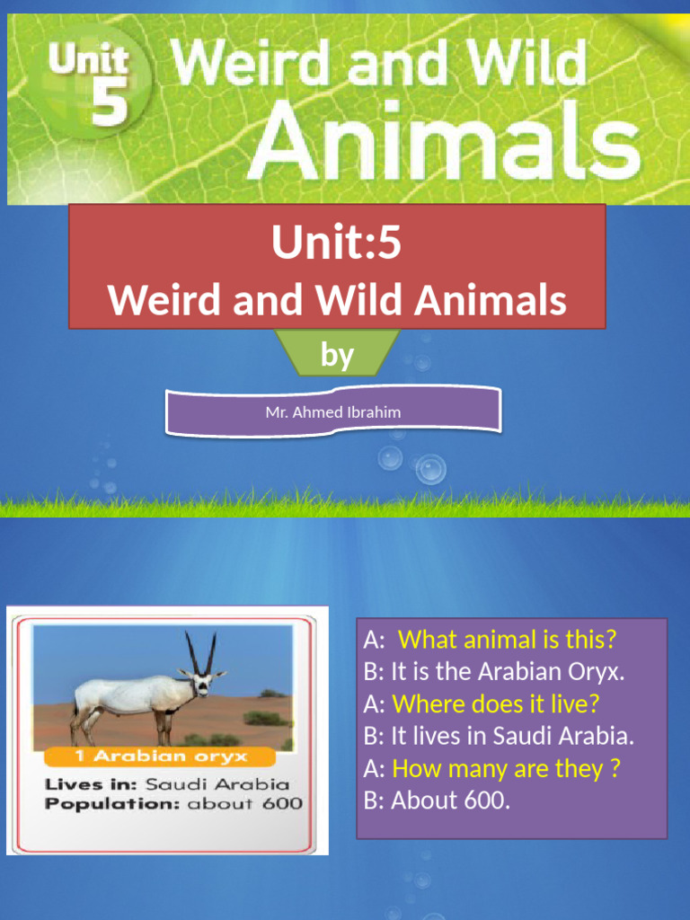 Unit 5 Weird and Wild Animals | PDF
