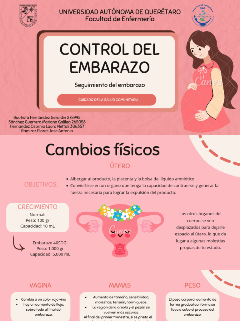 Control Del Embarazo | PDF