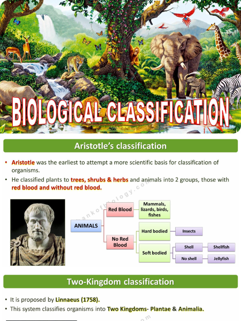 Class 1 | PDF