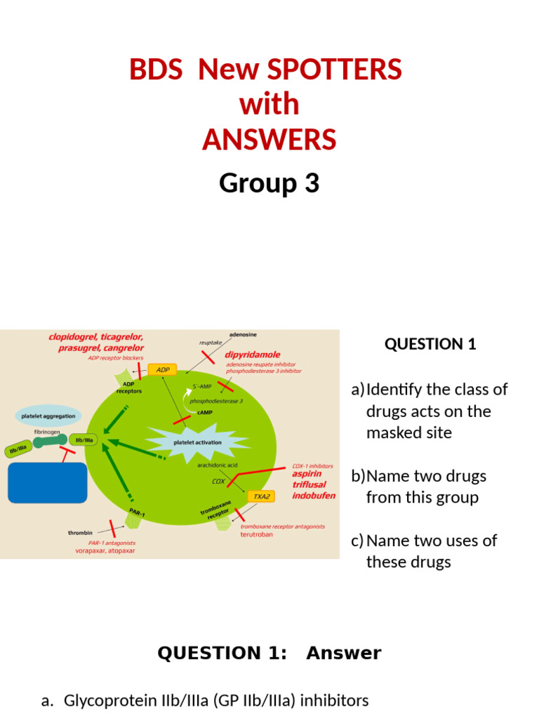 BDS New Spotters - Group 3 | PDF