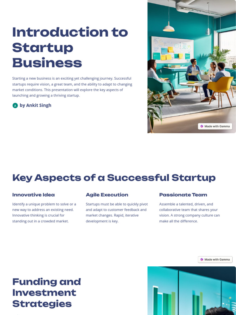 Introduction To Startup Business | PDF