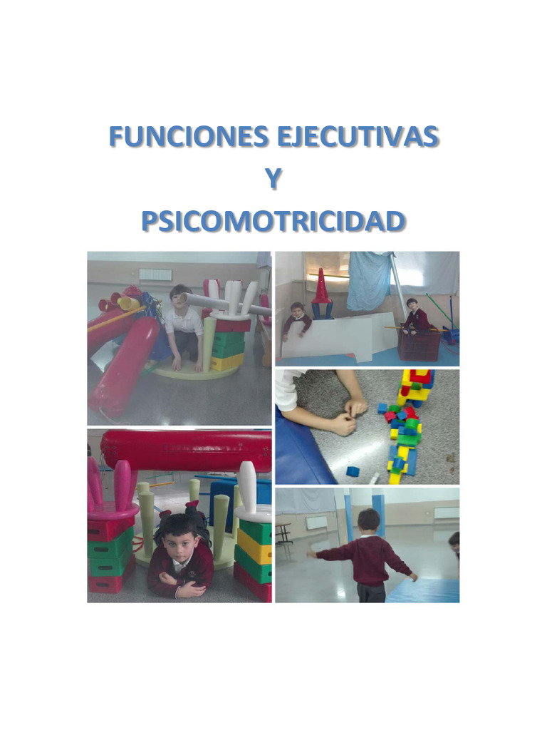 Dosier Psicomotricidad-Func Ejec SG | PDF