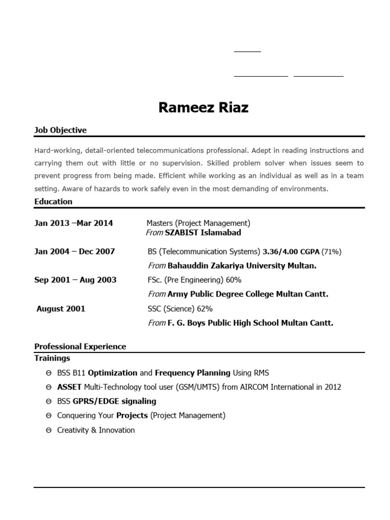 Rameez Resume CV | PDF