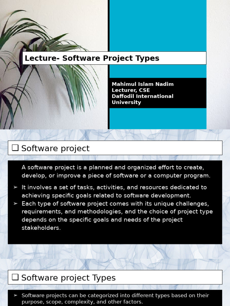 Lecture-3 - Software Project Types | PDF