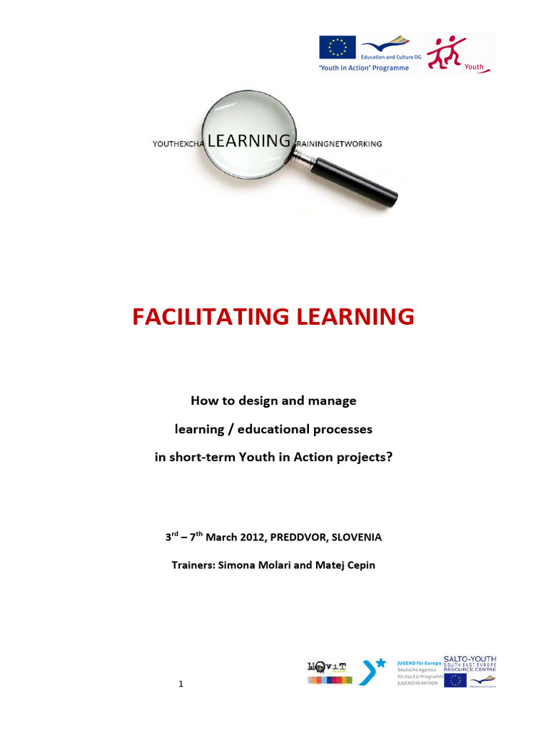 Facilitating Learning Report | PDF