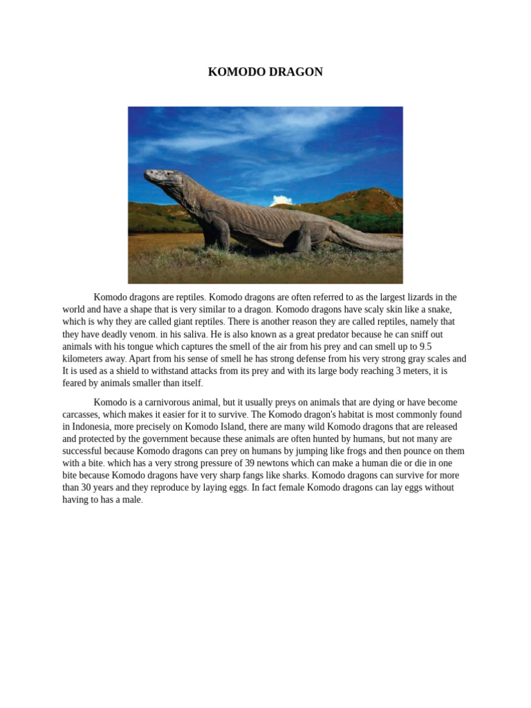 Komodo Dragon | PDF