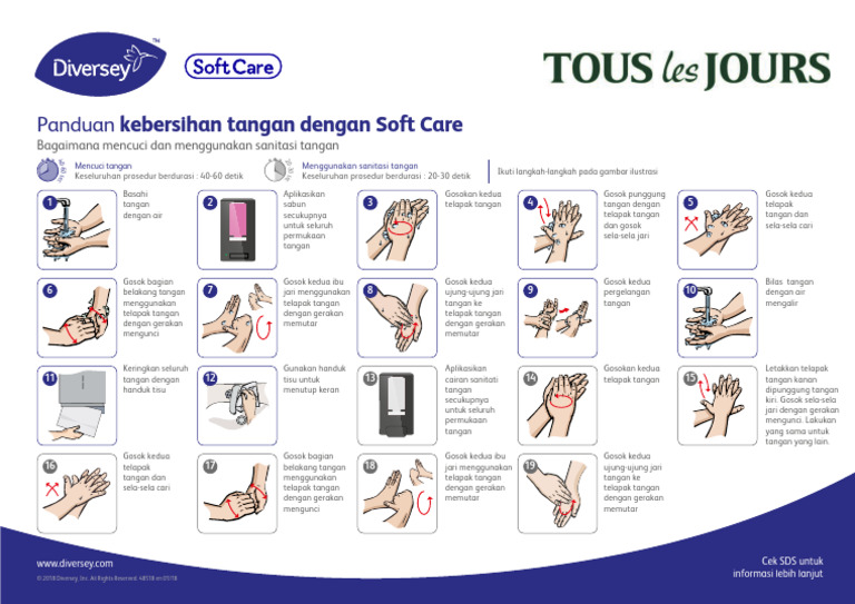 Diversey's Hand Hygiene Charts - Print | PDF