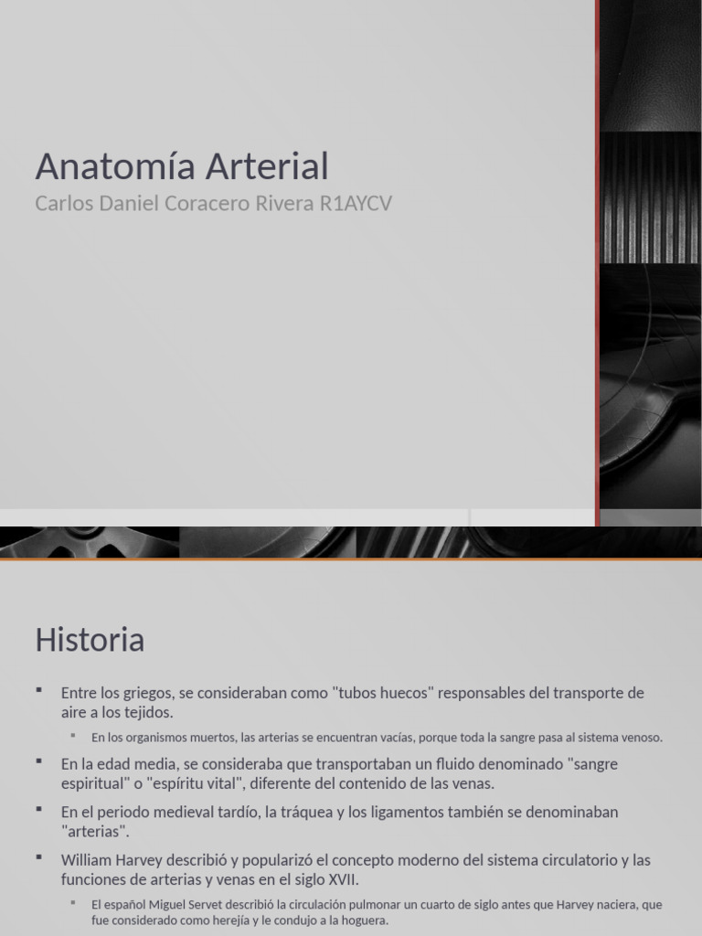 Anatomía Arterial | PDF