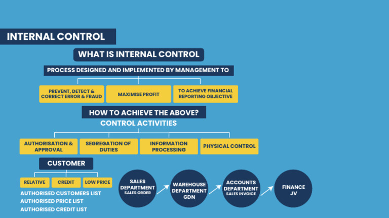 Internal Control | PDF