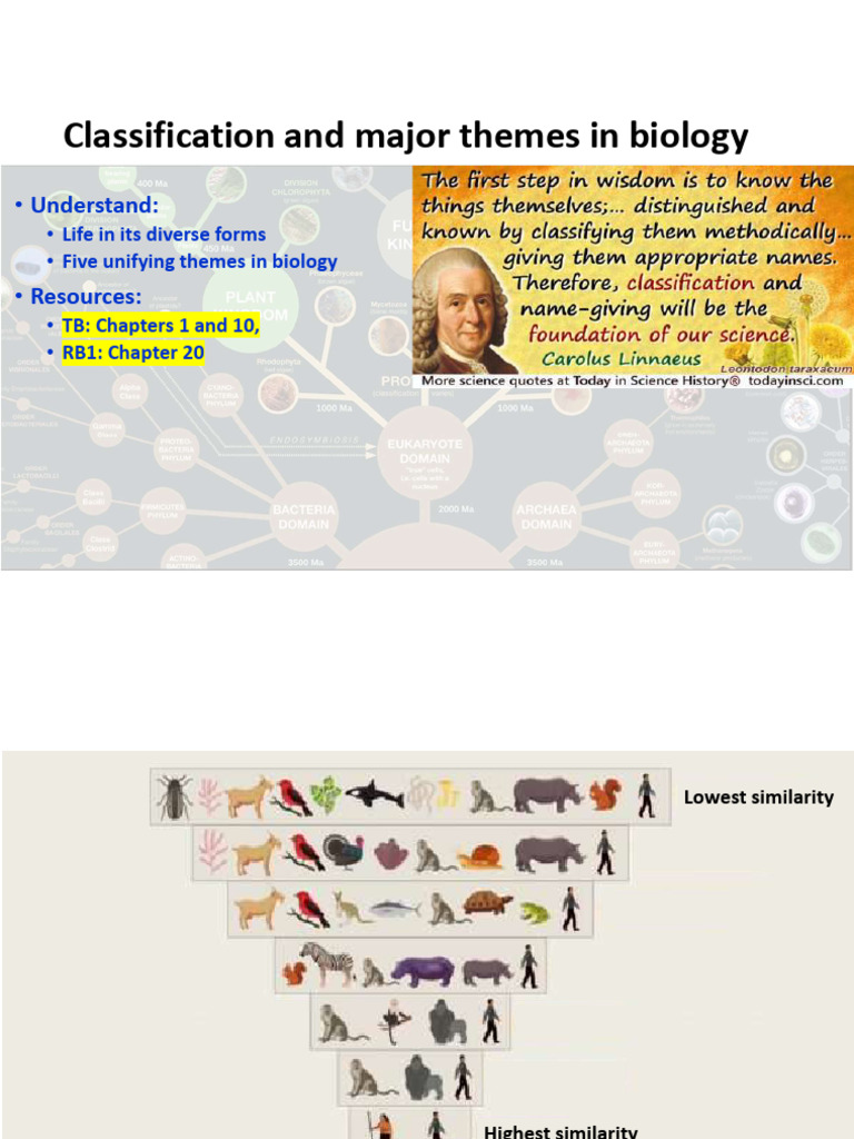 L2Classification and Major Themes in Biology - I | PDF