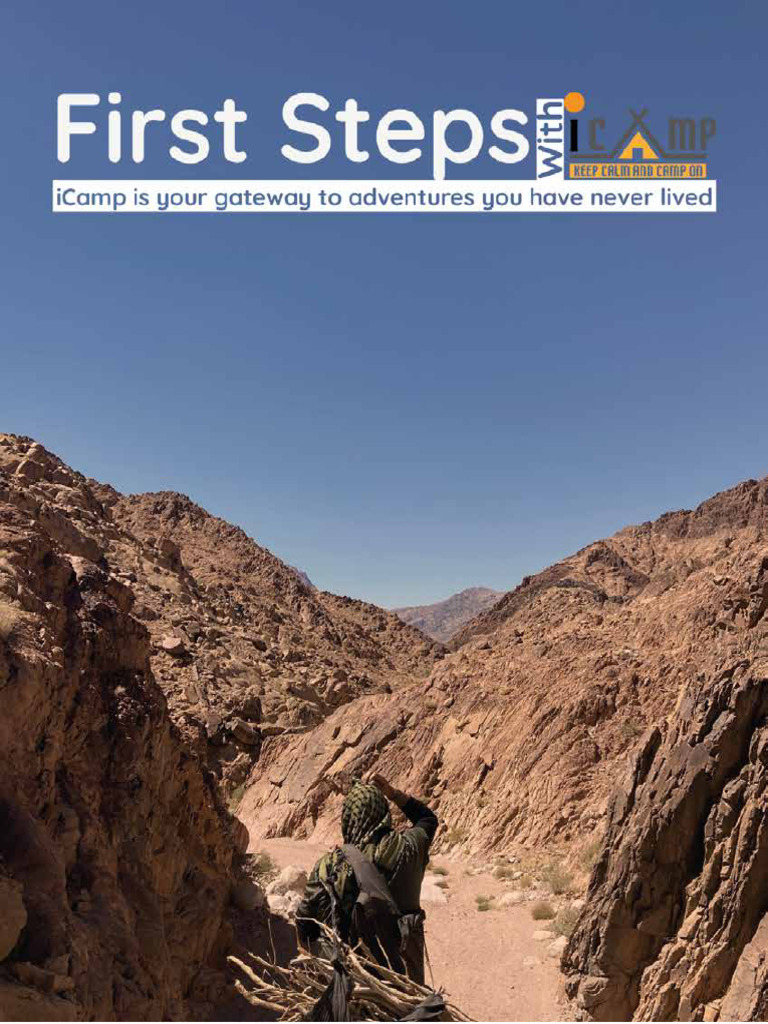 Frist Steps | PDF