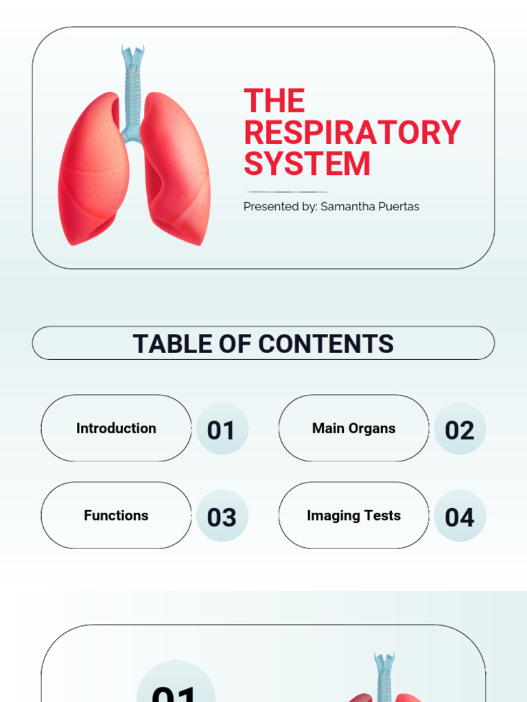 Overview of the Respiratory System | PDF | Respiratory Tract | Lung