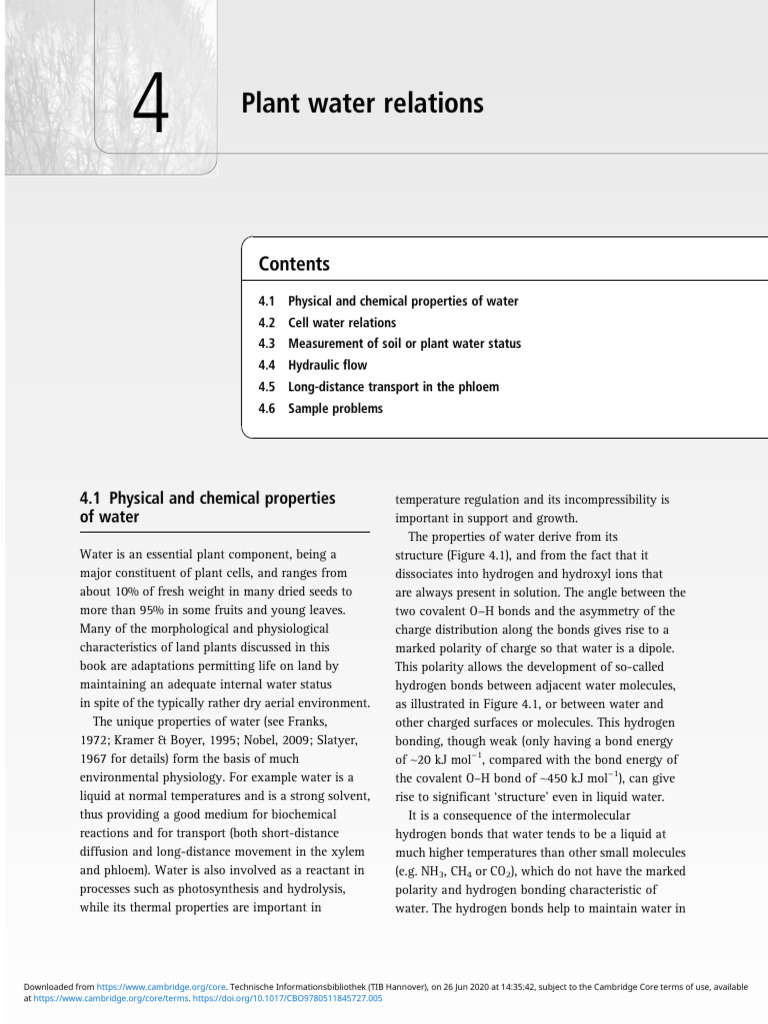 Plant Water Relations | PDF | Osmosis | Liquids