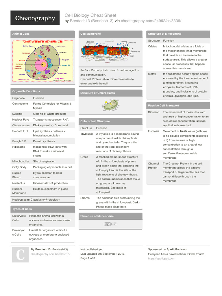 Bendash13 Cell-Biology | PDF