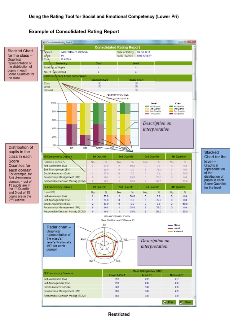 Social-Emotional Competency Rating Tool | PDF