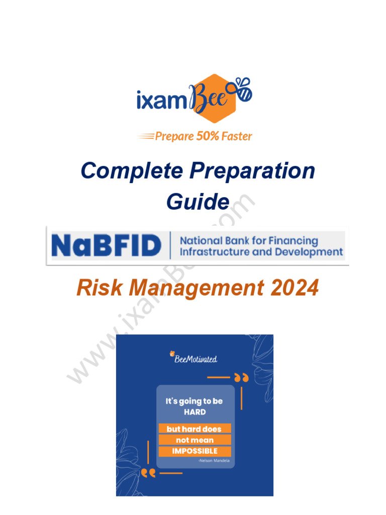 NaBFID Risk MGMT | PDF